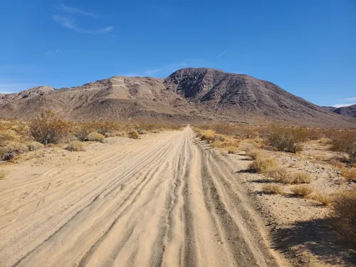 2023 Best 10 Off Road Driving Trails in Joshua Tree National Park ...