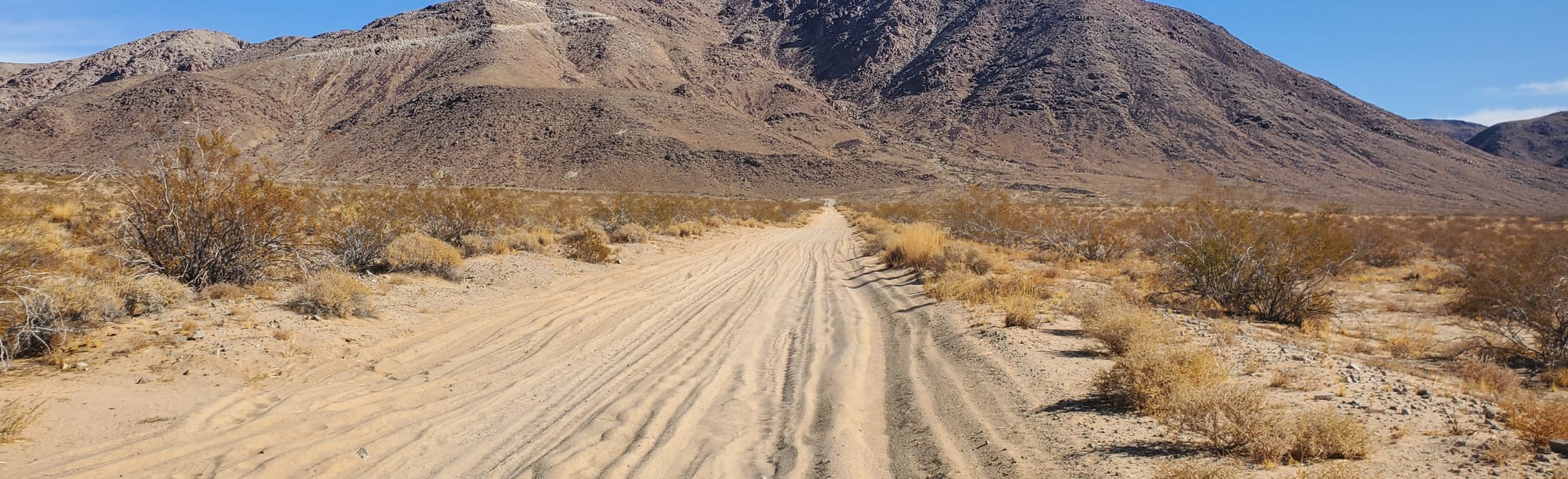 Old Dale Road 1: 219 Reviews, Map - California | AllTrails