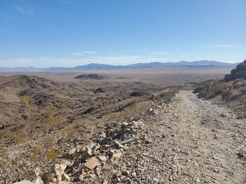 10 Best Off Road Driving Trails in Joshua Tree National Park | AllTrails