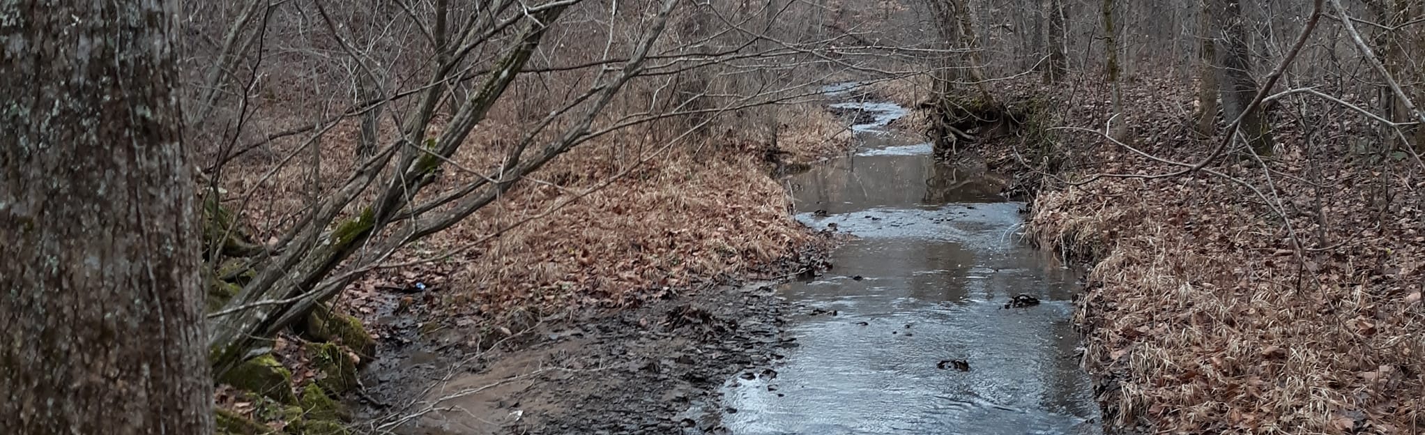 Oak Ridge Trail | Map, Guide - Ohio | AllTrails