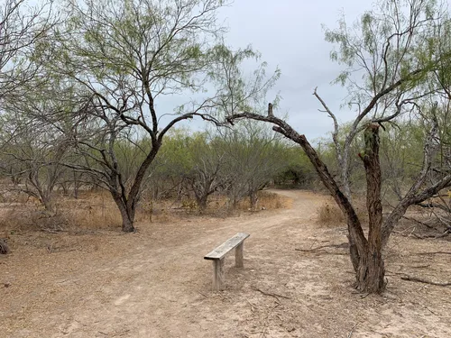 Best Hikes and Trails in Falcon State Park | AllTrails