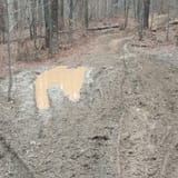 Enoree Trail, South Carolina - 28 Reviews, Map | AllTrails