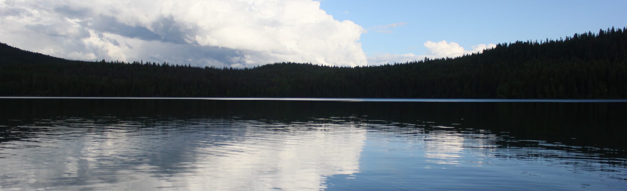 Sulphurous Lake Recreation Site Trail: 1 Fotos - British Columbia ...