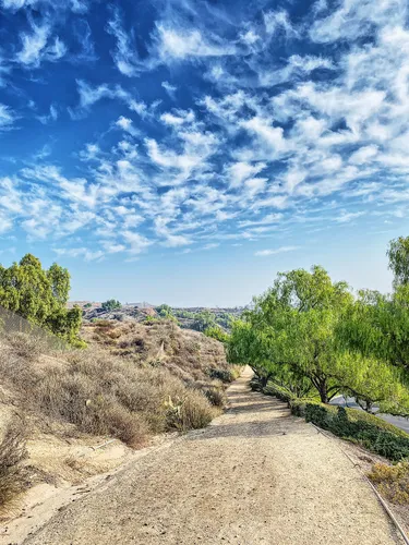 10 Best Trails and Hikes in Fullerton | AllTrails