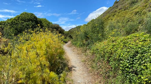 2023 Best 10 Trails and Hikes in Wellington | AllTrails