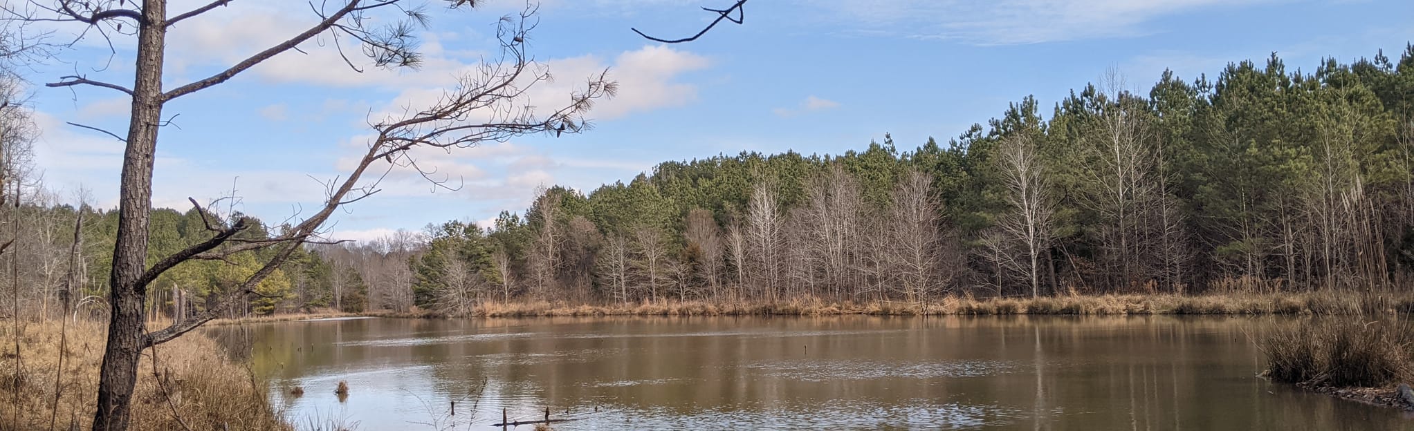 Confederate Siege Lines Trail: 30 Reviews, Map - Mississippi | AllTrails