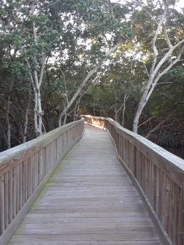 Best Hikes and Trails in Grassy Point Preserve | AllTrails