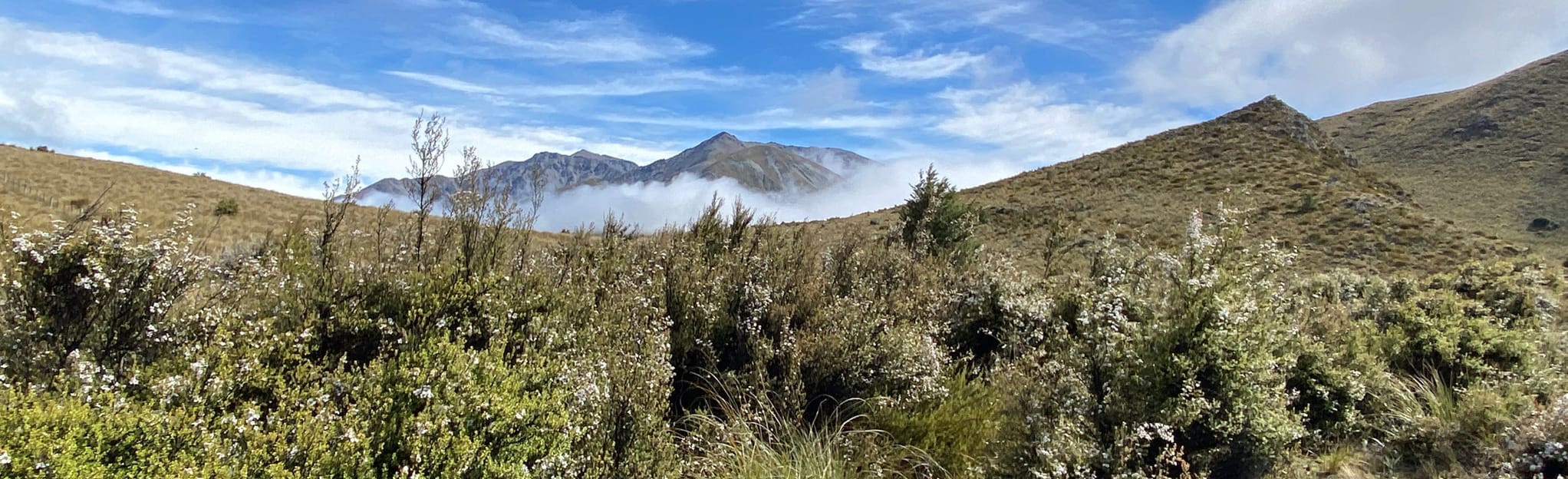 Mount Somers Track Loop: 12 Reviews, Map - Canterbury, New Zealand ...