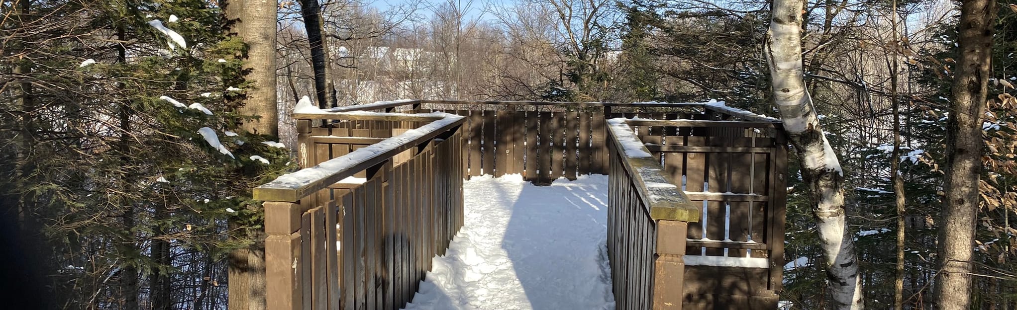 Coulée Green Trail: 24 Fotos - Québec, Kanada | AllTrails