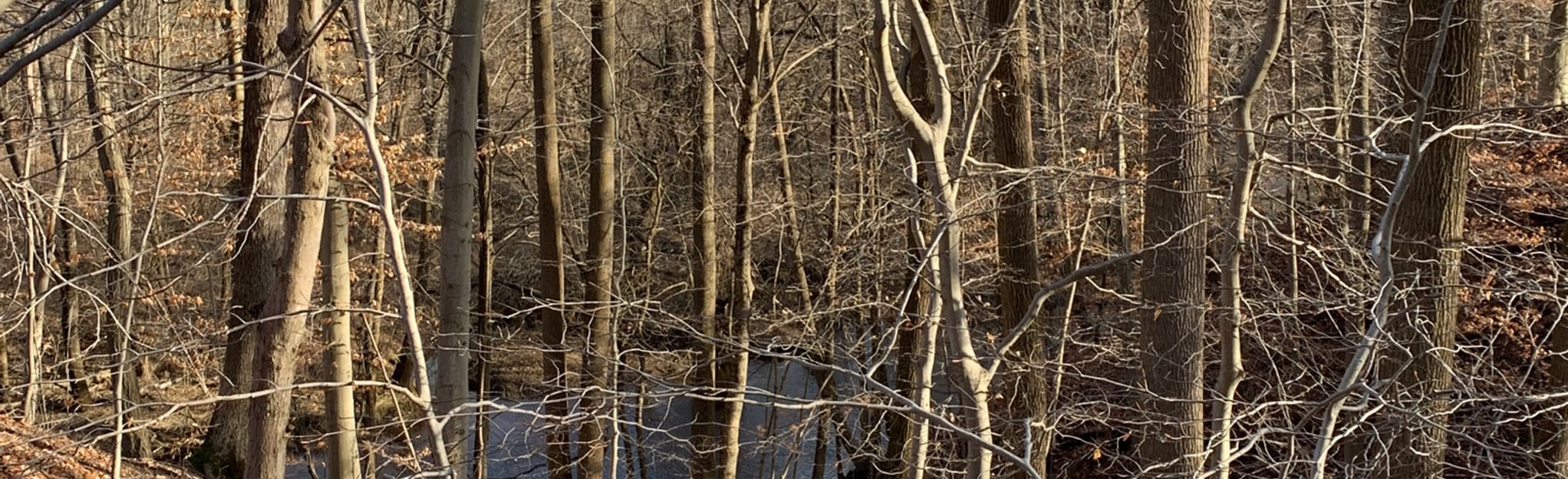 AllTrails | Crosswicks Creek Greenway: 8 Reviews, Map - New Jersey