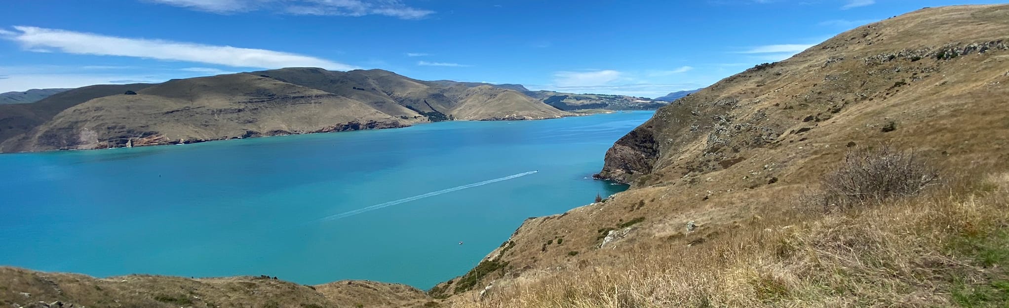 Godley Head Walkway to Tunnel Track, Canterbury, New Zealand - 4 ...