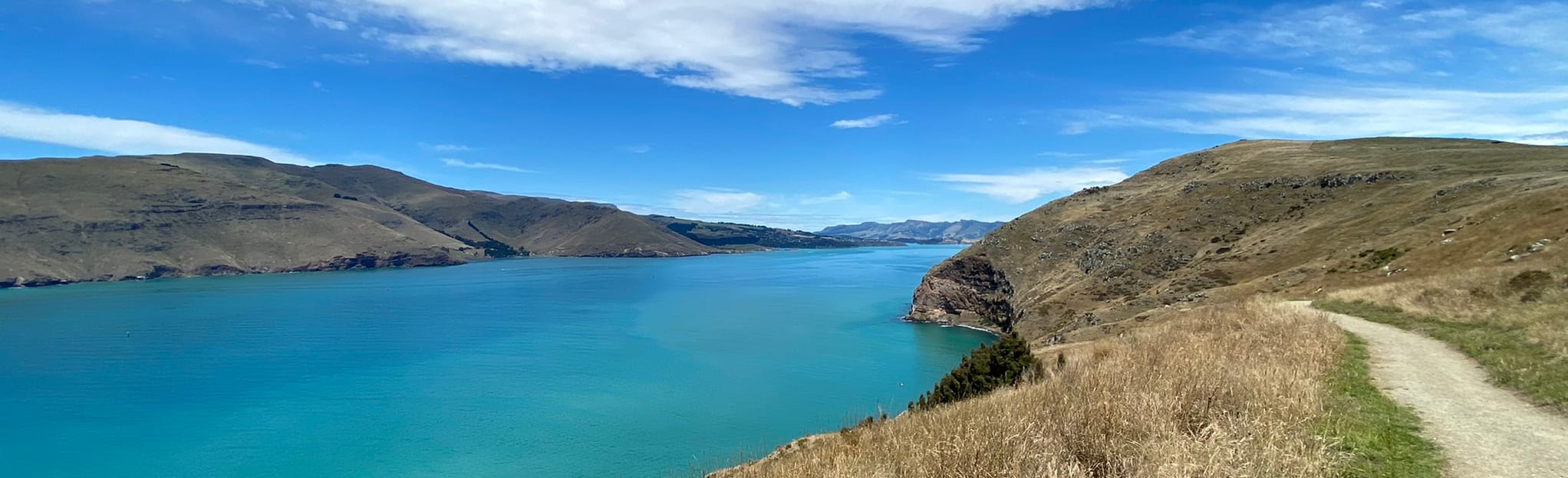 Godley Head Walkway and Taylors Mistake Loop, Canterbury, New Zealand ...