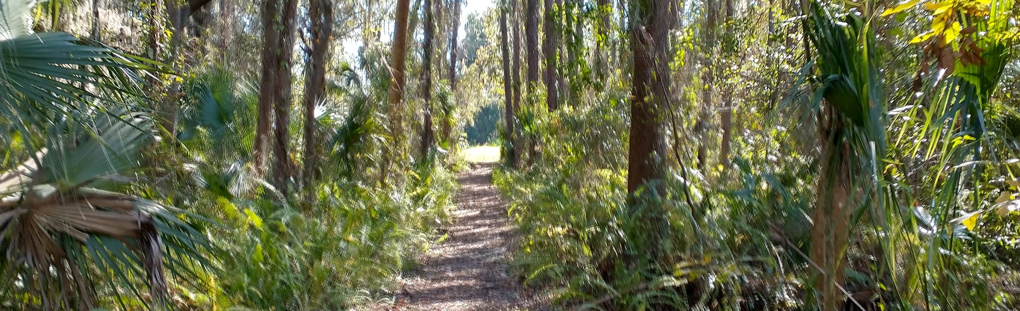 Myron and Helen Gibbons Nature Preserve Loop, Florida - 202 Reviews ...
