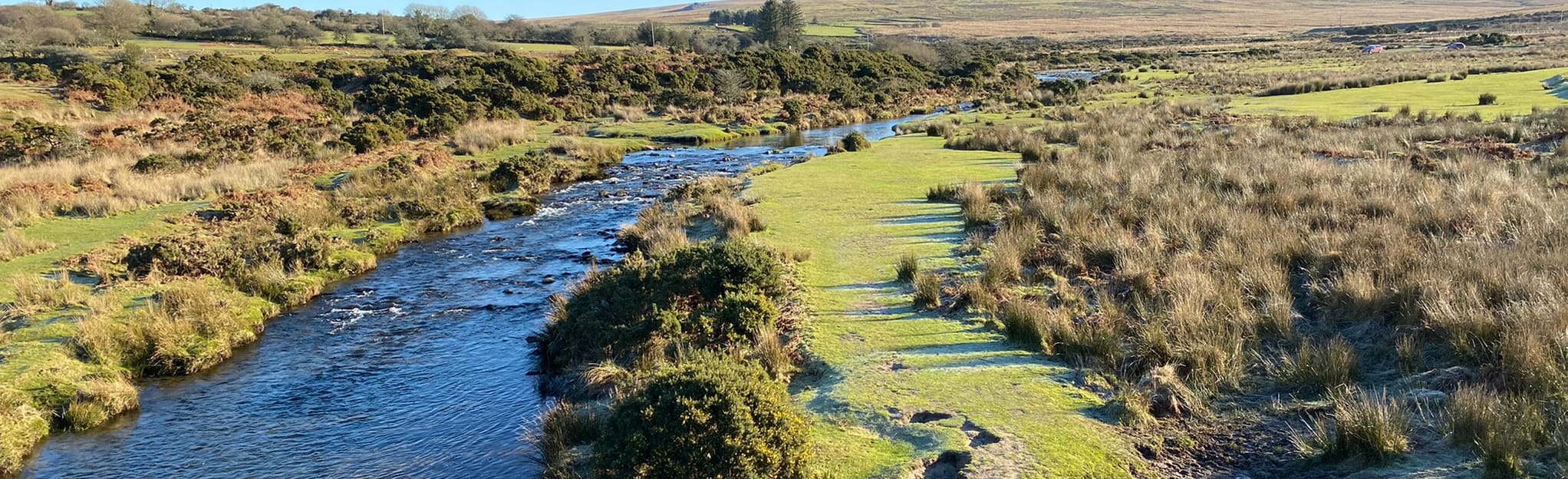 Cadover Bridge to Shaugh Bridge Circular, Devon, England - 165 Reviews ...