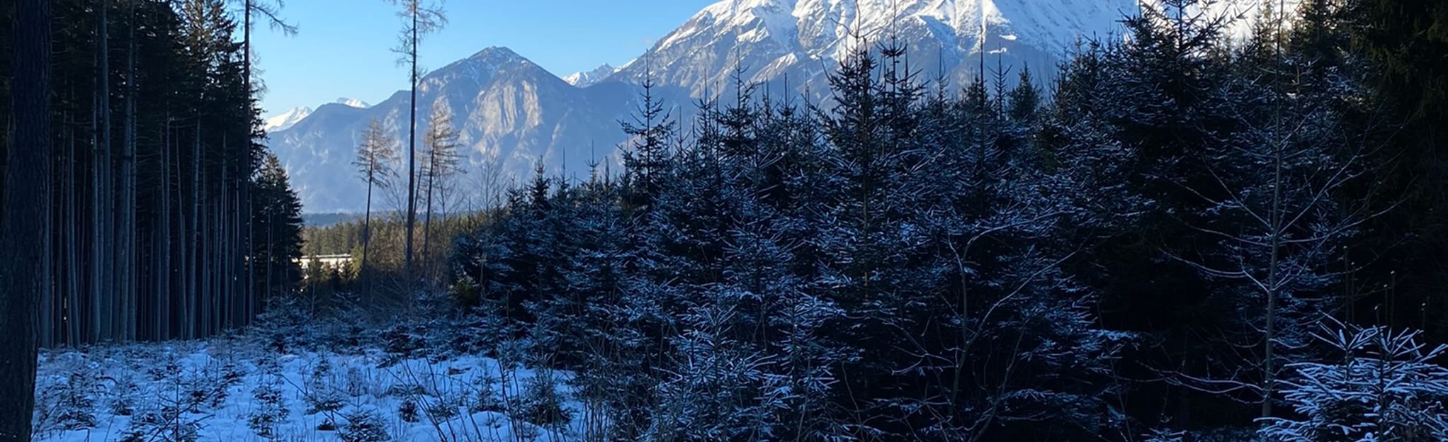 Forest Loop near Lans, Tyrol, Austria - 17 Reviews, Map | AllTrails