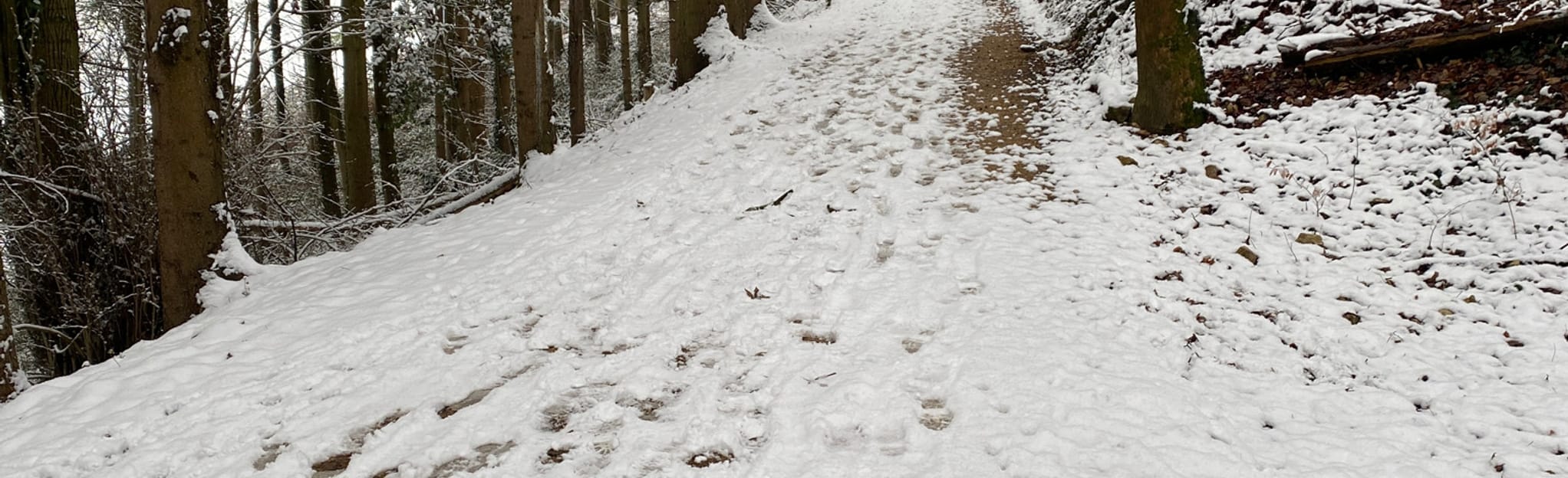 Kaiseraugst - Hersberg: 2 Reviews, Map - Aargau, Switzerland | AllTrails