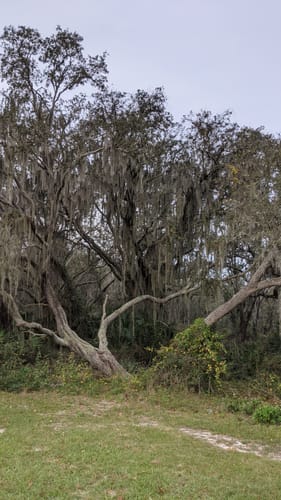 Best Hikes and Trails in Fishhawk Sports Complex Park | AllTrails