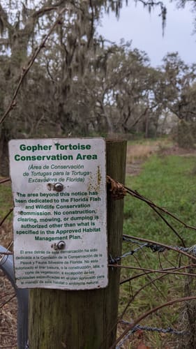 Best Hikes and Trails in Fishhawk Sports Complex Park | AllTrails