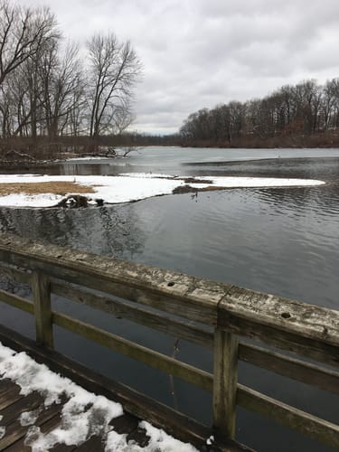 Best Hikes and Trails in Coldwater | AllTrails
