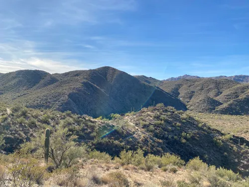 10 Best Trails and Hikes in Black Canyon City | AllTrails