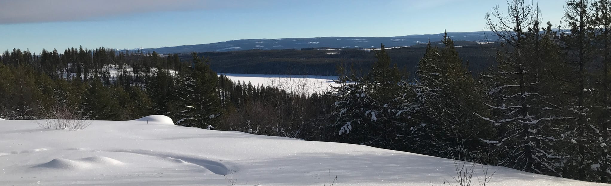 Swalwell Lake Large Loop: 26 Reviews, Map - British Columbia, Canada ...