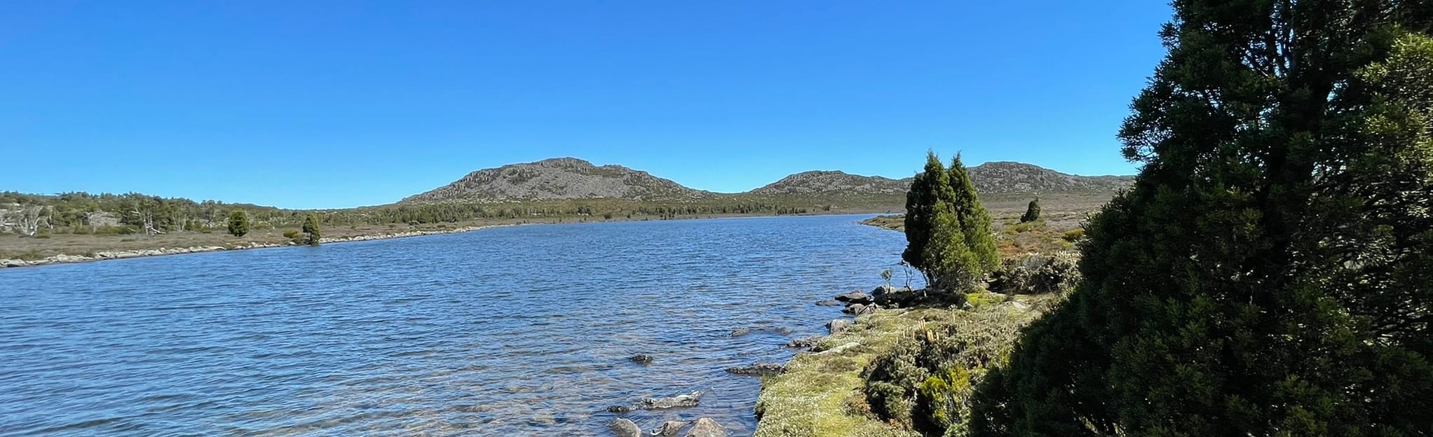 Pine Lake Trail - Tasmania, Australia | AllTrails