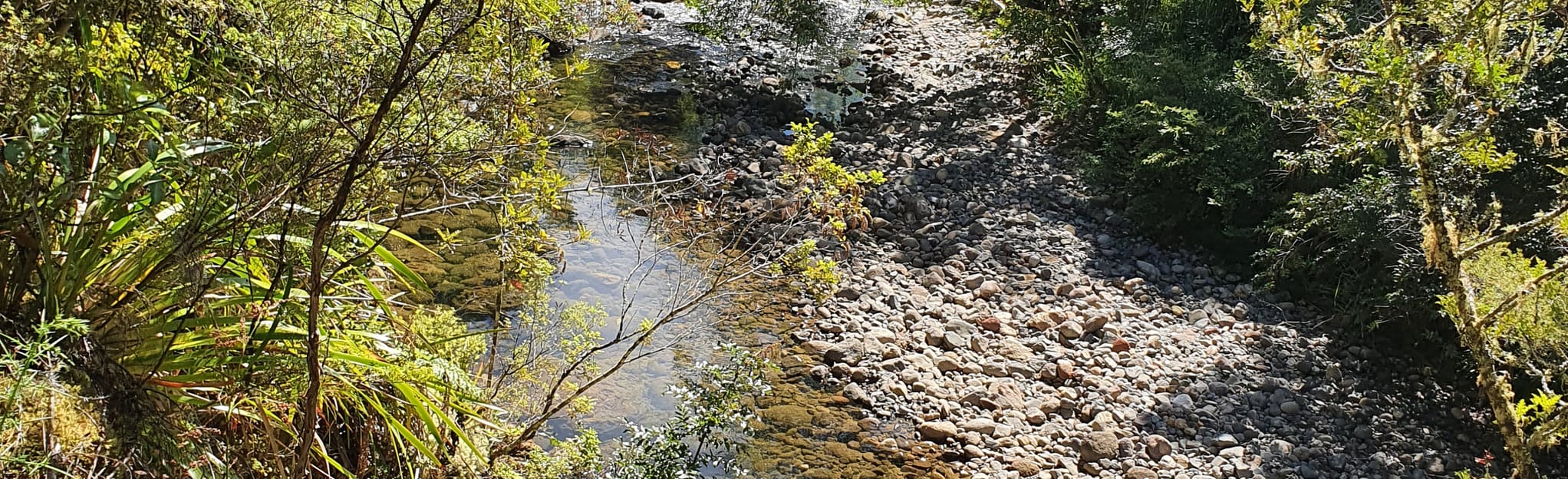 Main Range Track and Collins Drive Loop, Waikato, New Zealand - 98 ...