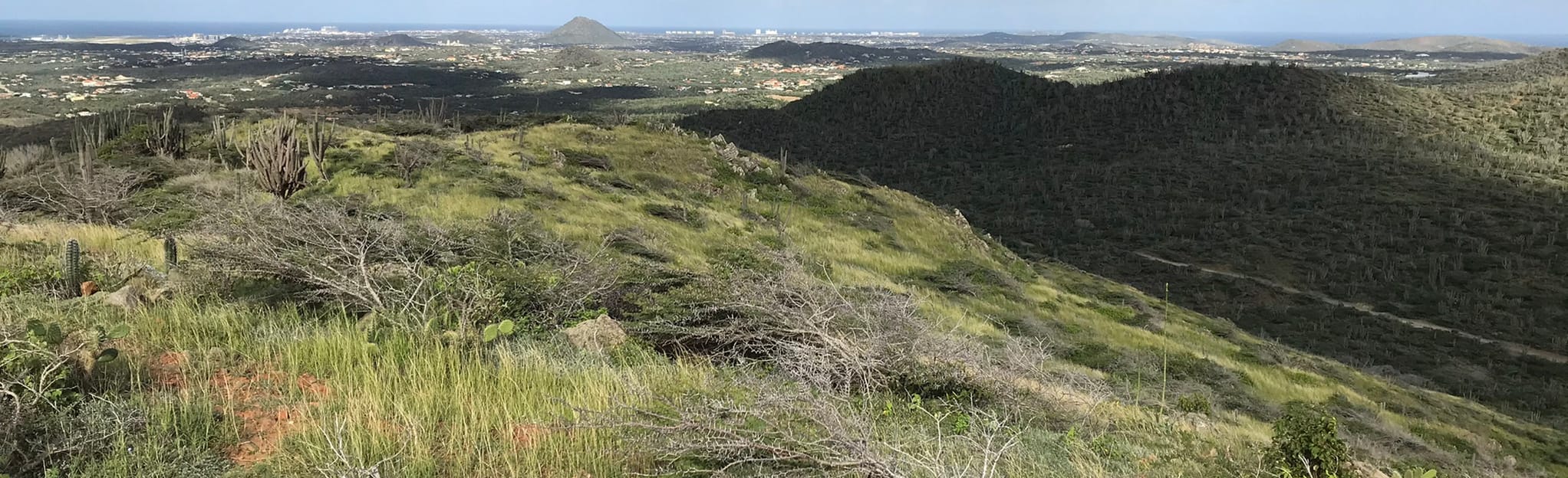 Jamanota Trail, Aruba, Aruba - 45 Reviews, Map | AllTrails