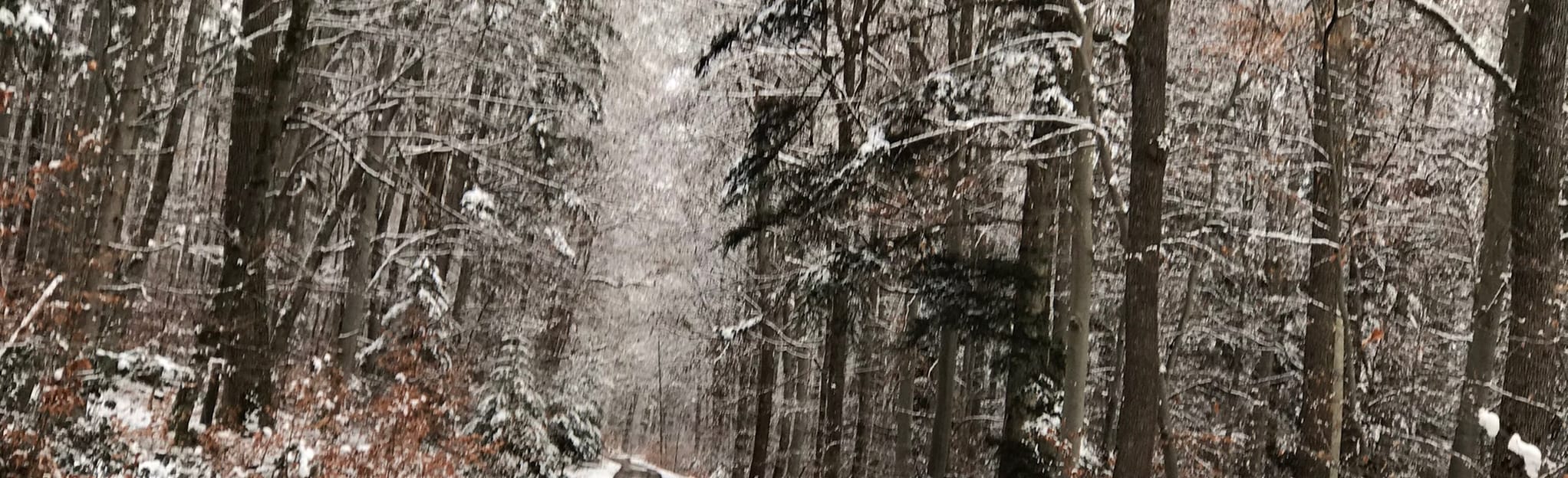 Durch das Aichtal: 19 Photos - Baden-Württemberg, Germany | AllTrails