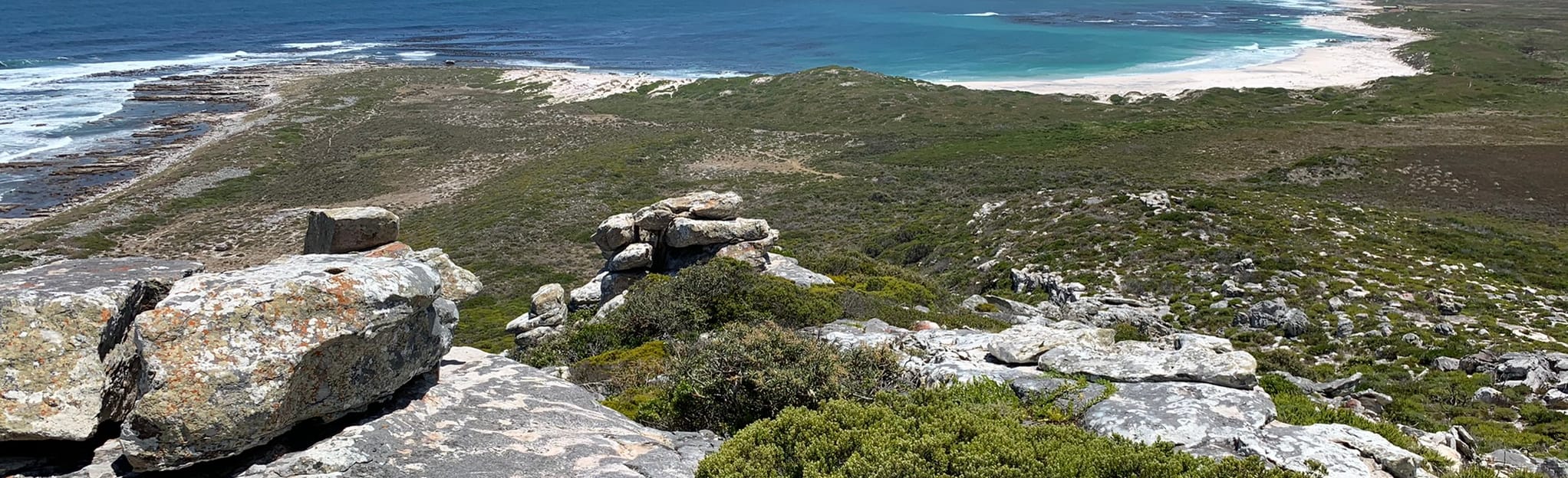 Cape Point: Hoek van Bobbejaan Trail: 21 foto's - West-Kaap, Zuid ...
