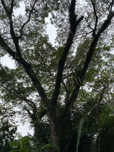 Best Hikes and Trails in Guanacaste National Park | AllTrails