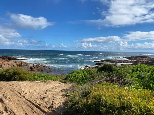 10 Best Trails and Hikes in Nelson Bay | AllTrails