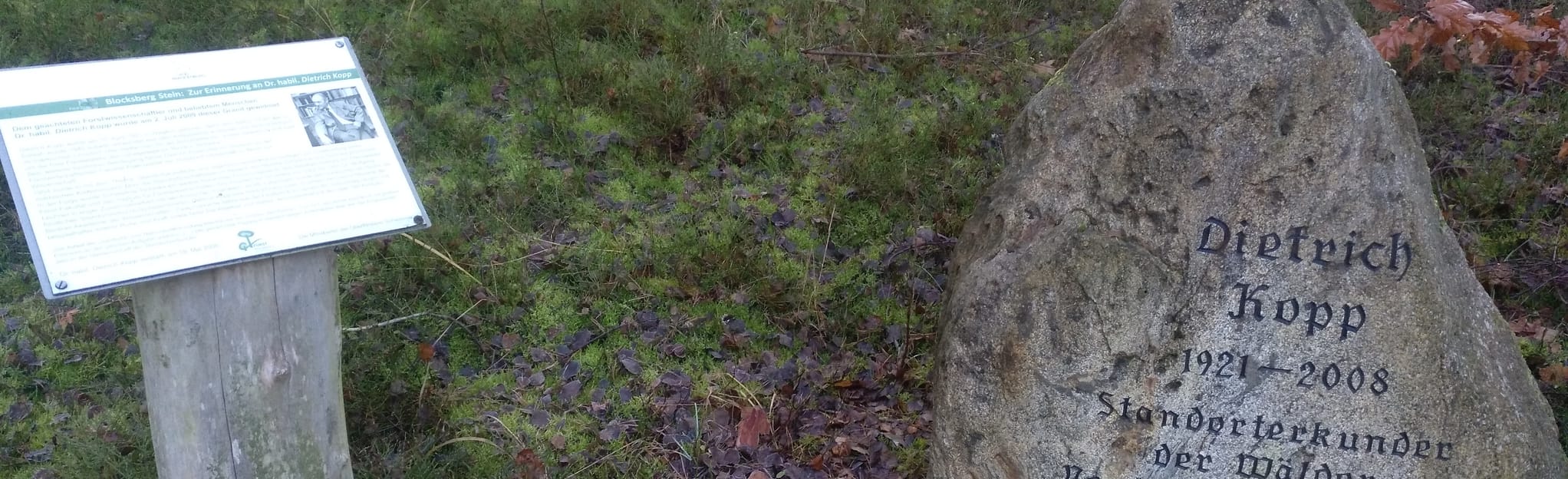 Alt-Schadow - Godnasee - Blocksberg, Brandeburg, Germany - Map, Guide ...