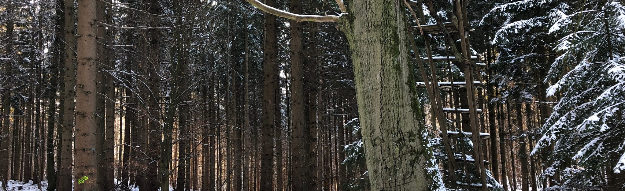 Kleine Runde im Derchinger Wald: 1 foto's - Bavaria, Duitsland | AllTrails