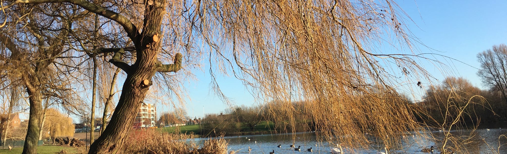 Mayesbrook Park and Dageham Circular: 12 fotos - London, Inglaterra ...