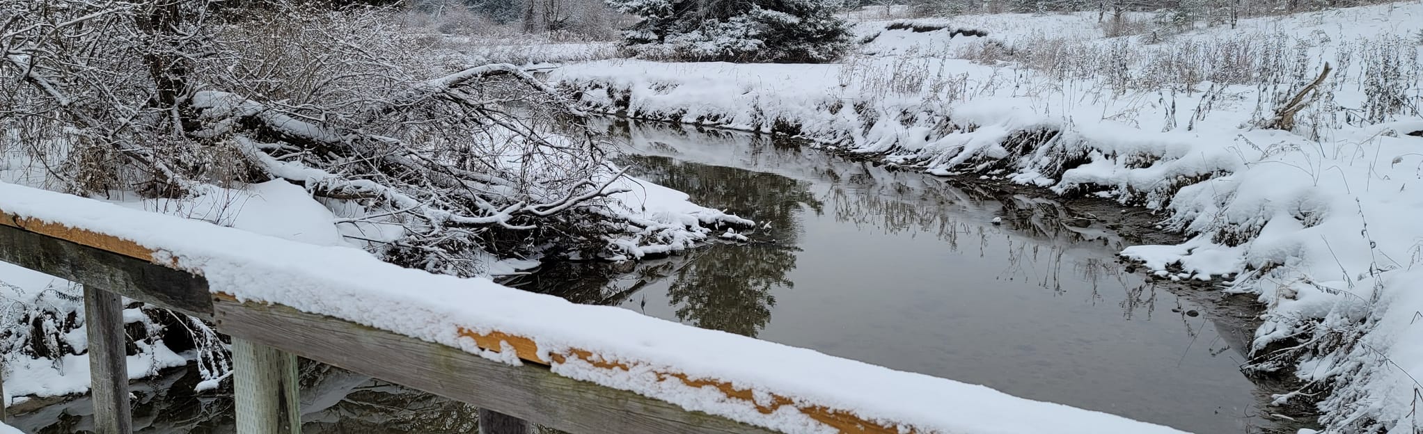 Springwater Purple Loop: 29 Reviews, Map - Ontario, Canada | AllTrails