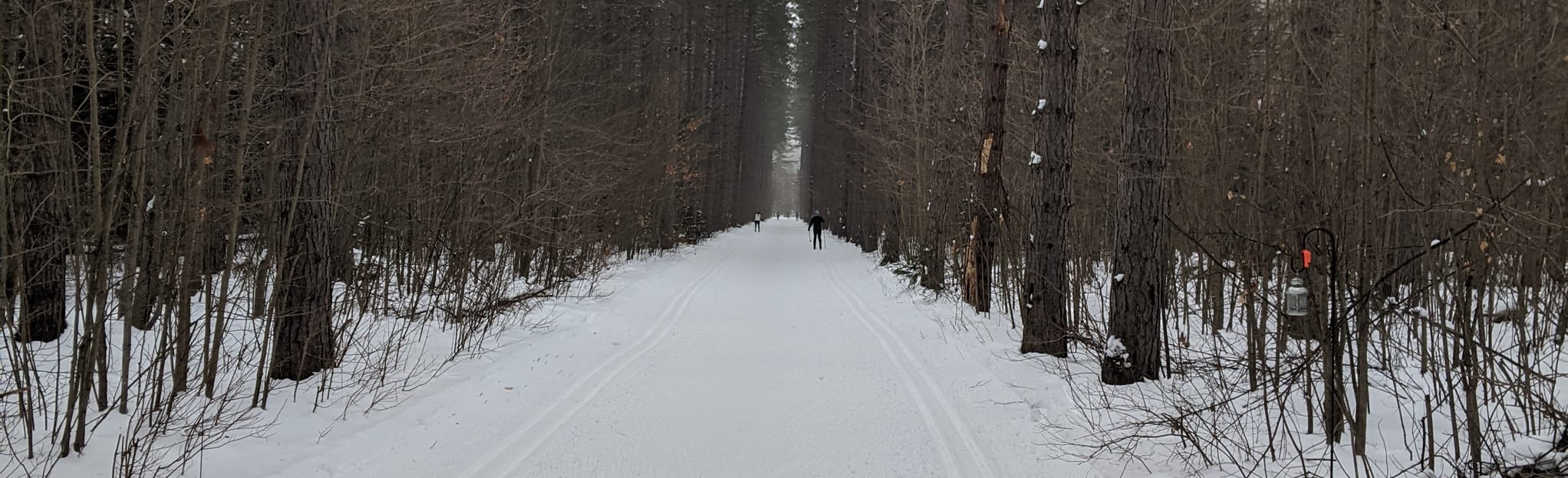 Pinder and White Pine Loop: 10 Reviews, Map - Ontario, Canada | AllTrails