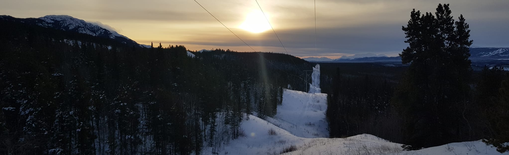 Powerline Trail, Yukon, Canada - 4 Reviews, Map | AllTrails