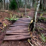 Ledgeview Extended Loop, British Columbia, Canada - 168 Reviews, Map ...