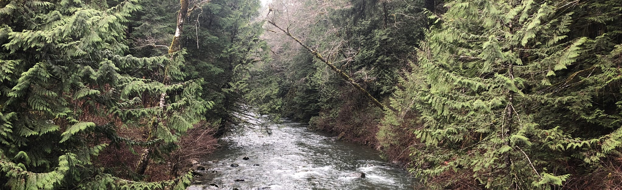 Horne Lake Caves Trail: 141 foto - Columbia Britannica, Canada | AllTrails