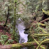 Colliery Dam Loop, British Columbia, Canada - 335 Reviews, Map | AllTrails