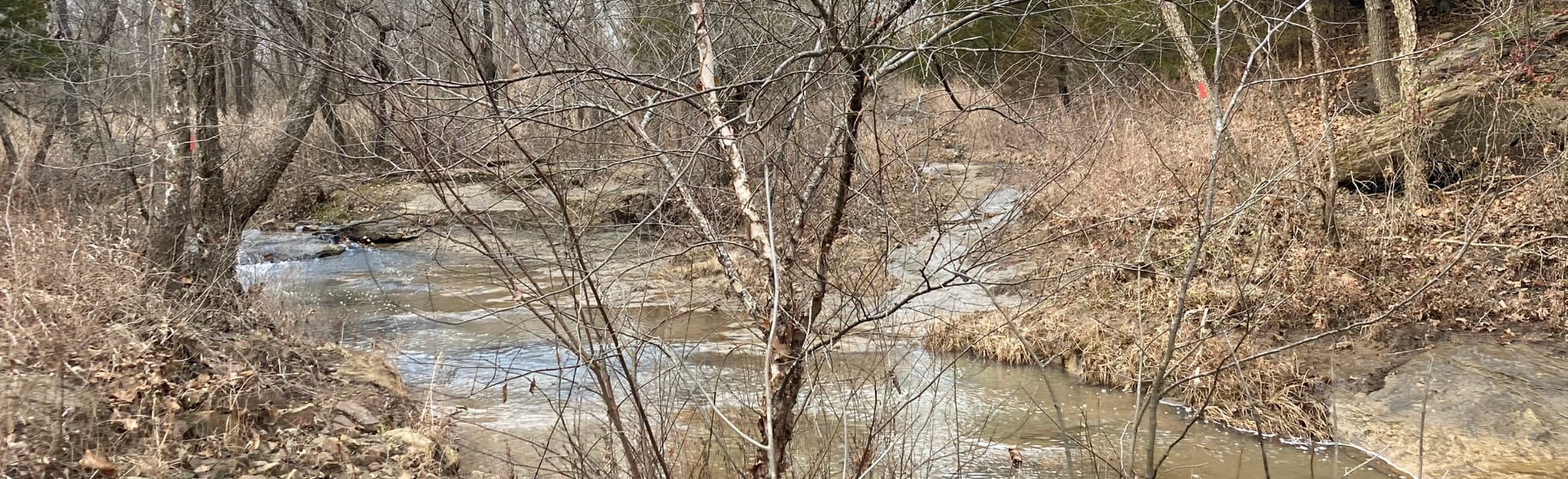 Osage Hills Blue Trail: 117 foto's - Oklahoma | AllTrails