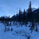 Goat Pond, Alberta, Canada - 135 Reviews, Map | AllTrails