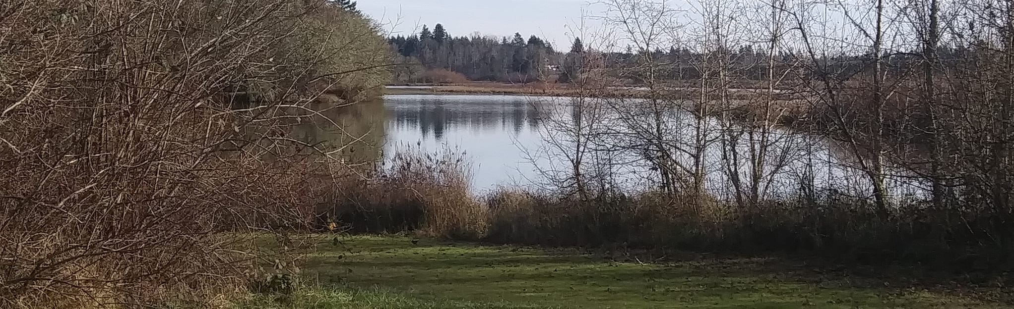 Fern Ridge Reservoir - Coast Foothills Ramble, Oregon - 44 Reviews, Map ...