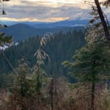 Palouse Divide to Lane's Lookout, Idaho - 23 Reviews, Map | AllTrails