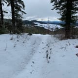 Palouse Divide to Lane's Lookout, Idaho - 23 Reviews, Map | AllTrails