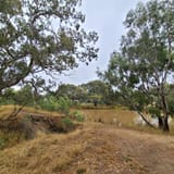 Mount Ridley Nature Reserve, Victoria, Australia - 7 Reviews, Map ...