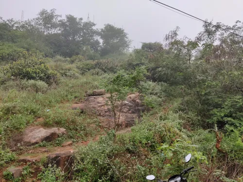 Best Hikes and Trails in Guindy National Park | AllTrails