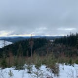 Palouse Divide to Lane's Lookout, Idaho - 23 Reviews, Map | AllTrails