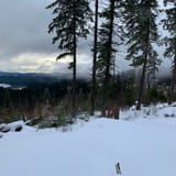 Palouse Divide to Lane's Lookout, Idaho - 23 Reviews, Map | AllTrails